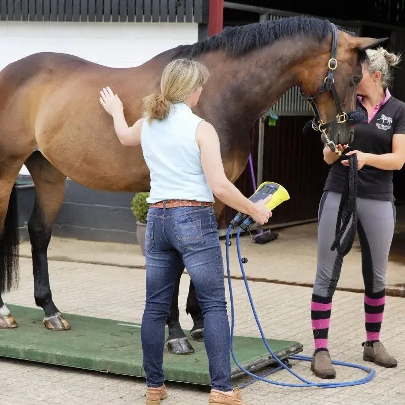 Body condition scoring your horse: why and how - Purefeed