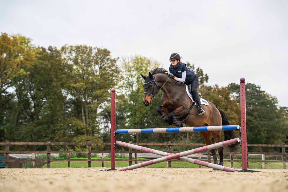 Feeding Show Jumping Horses | Nutrition for Power & Focus